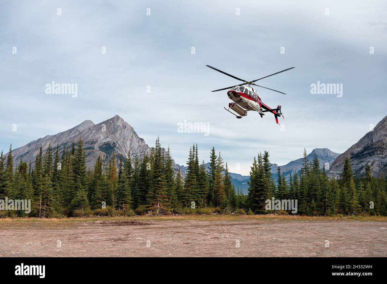 Sightseeing helicopter flying and landing to the ground in Banff ...