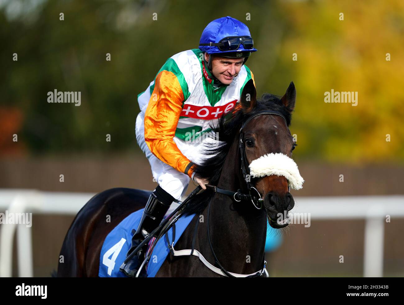 Minxie hi-res stock photography and images - Alamy