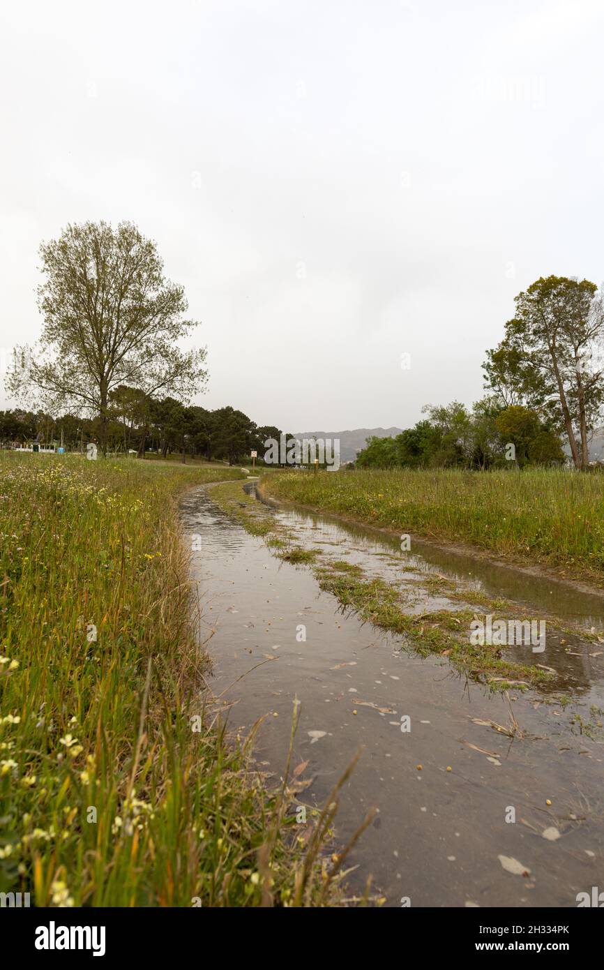 Muddy river after rain hi-res stock photography and images - Alamy