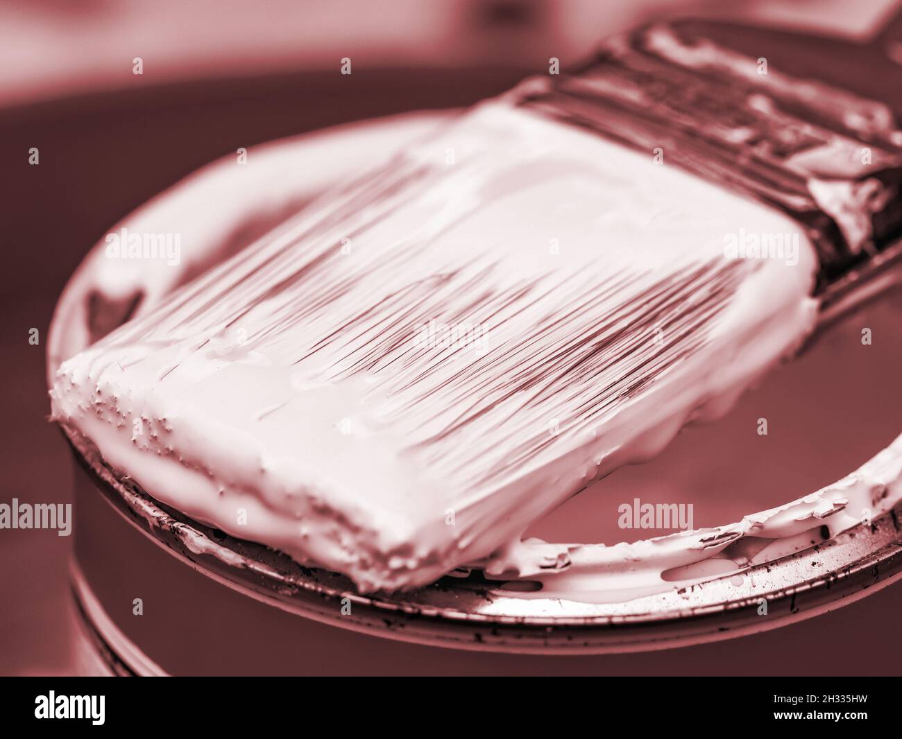 Paint brush on top of a tin of white paint in a mono red tone Stock ...