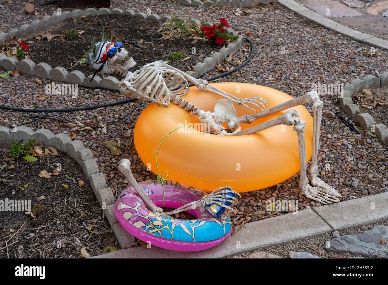A Halloween skeleton recreating, floating on an inner tube. Halloween ...