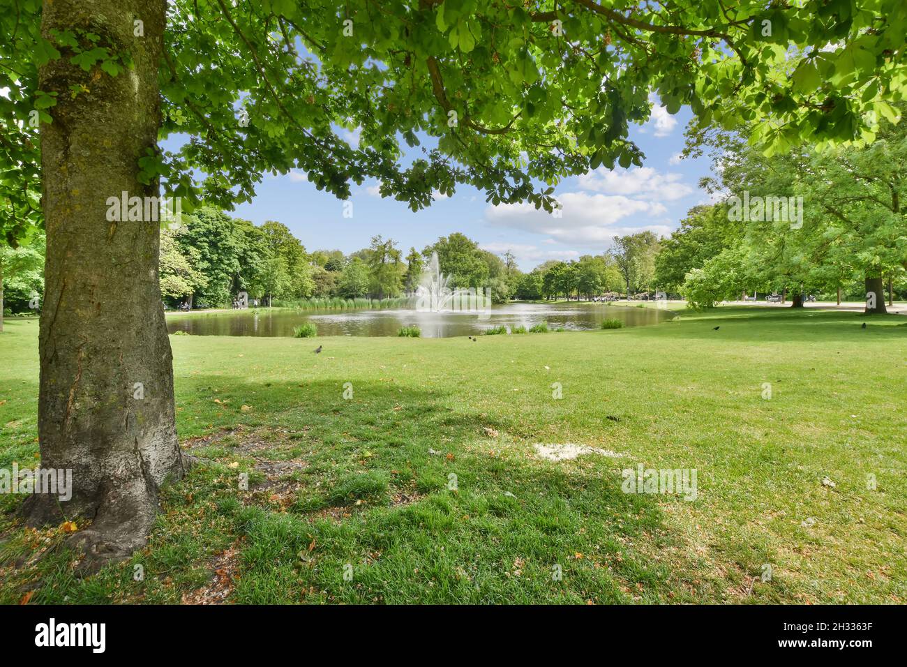 Beautiful city park hi-res stock photography and images - Alamy