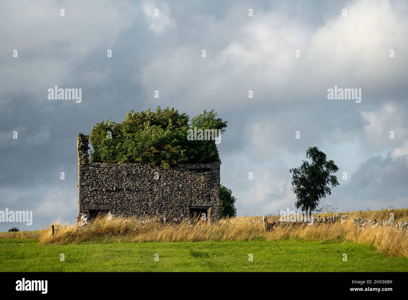 Abandoned overgrown ruined building near the village of Sheldon in the ...