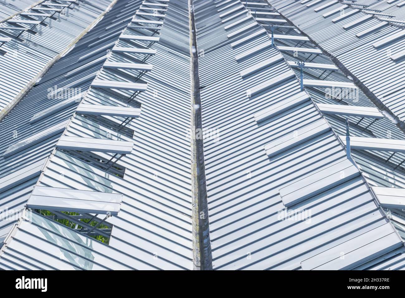 High angle view of a Dutch greenhouse with open ventilation windows ...