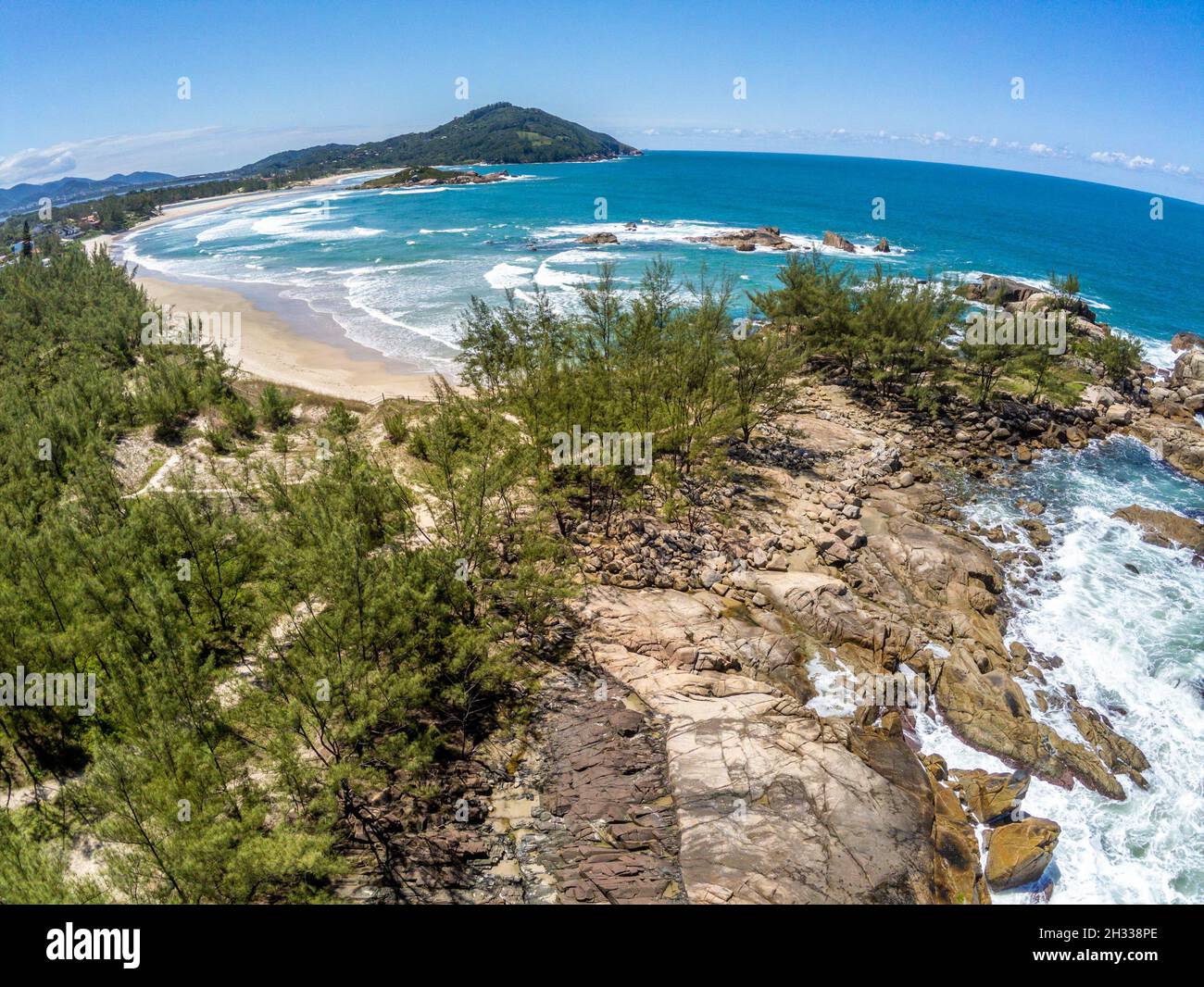 Aerial view with waves, rocks and pine trees, Praia da Barra, Garopaba ...