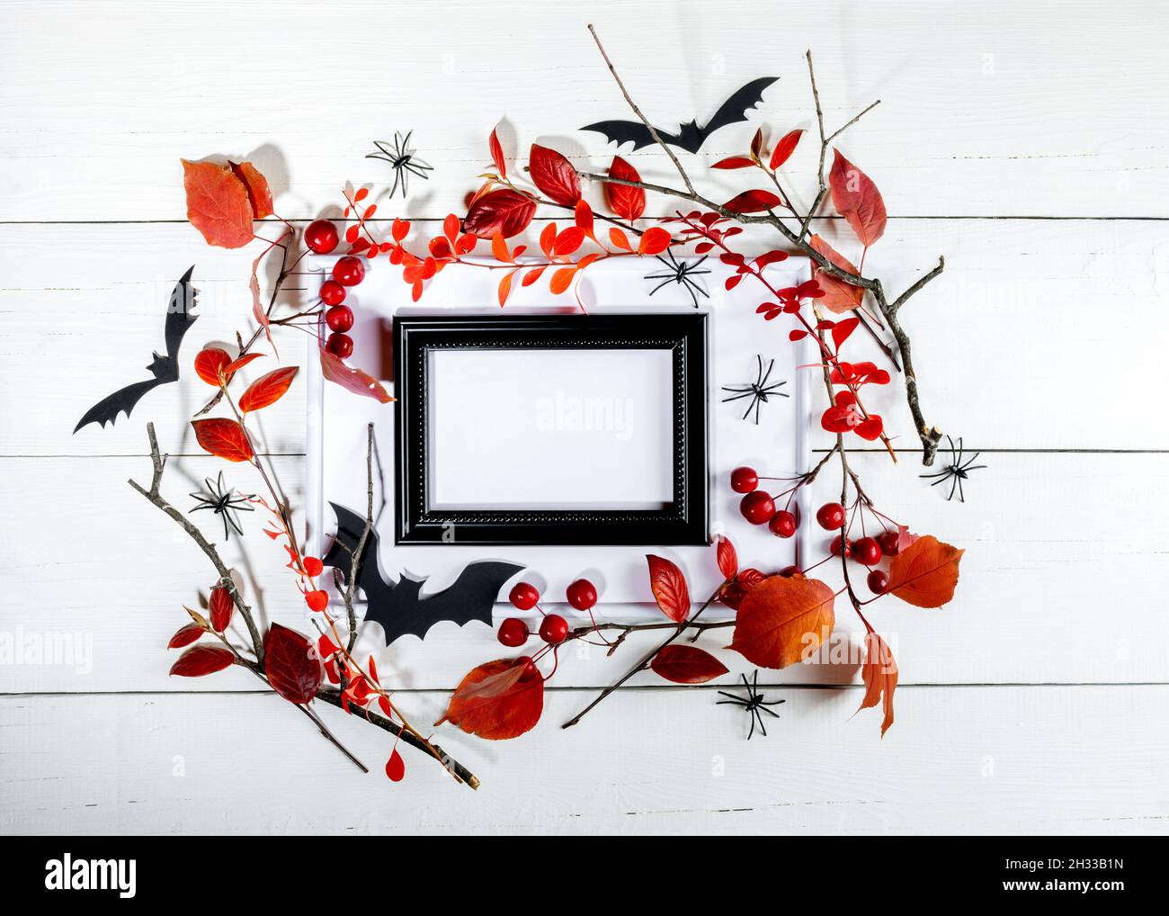 Empty black frame on white frame, different fall red branches, spiders ...