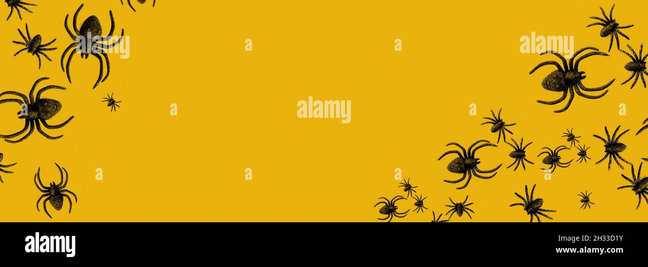 Flat lay banner of black horror spiders of different sizes directed in ...