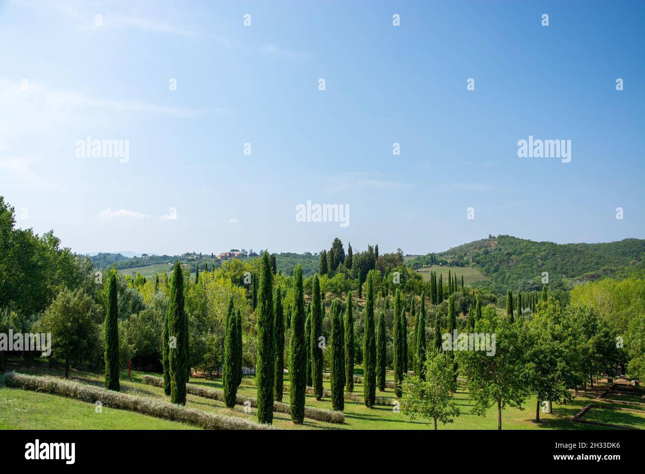 Baum toskana hi-res stock photography and images - Alamy