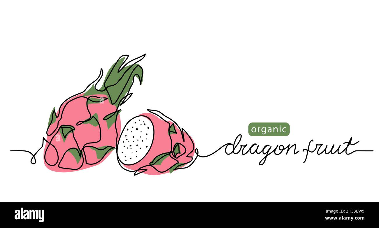 Dragon fruit, pitaya simple color vector illustration. One continuous ...