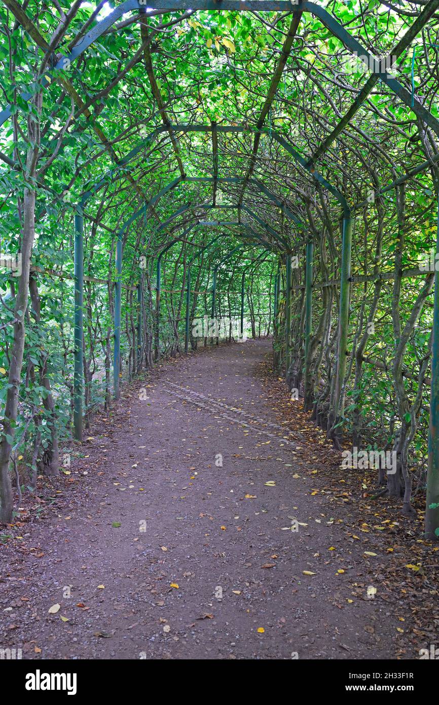 Laubengang, Schlosspark Rheinsberg, Schloss Rheinsberg, Brandenburg ...