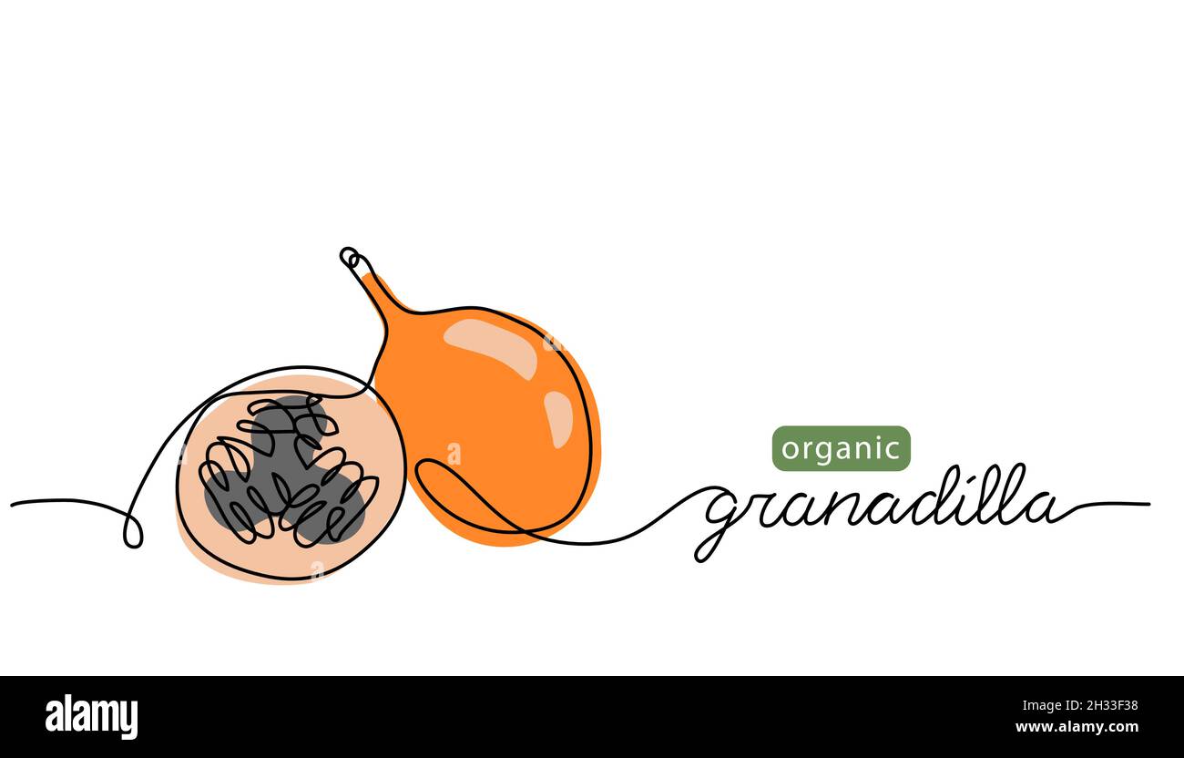 Granadilla, orange passion fruit simple color vector illustration. One ...