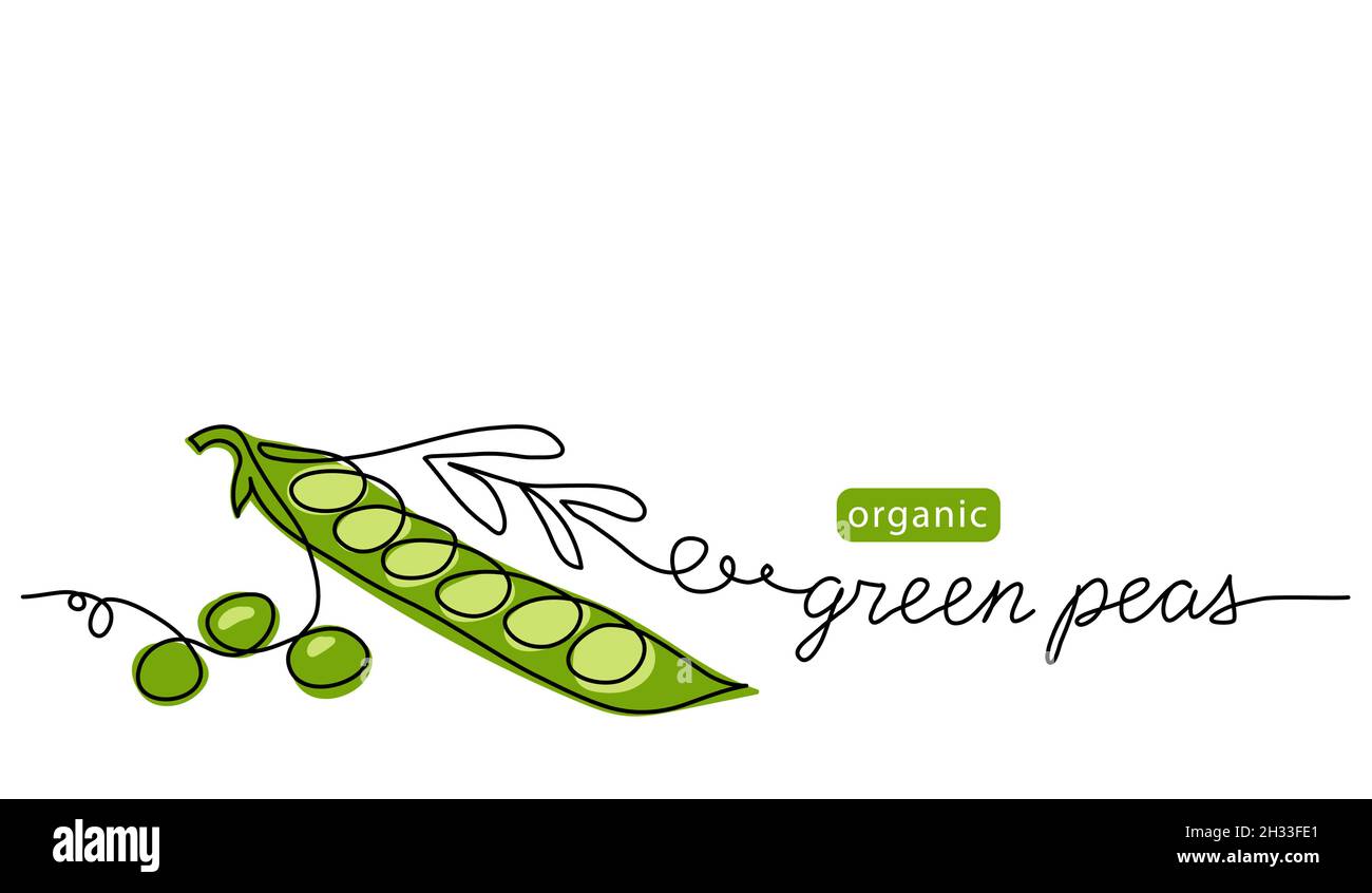 Pea plant drawing hi-res stock photography and images - Alamy