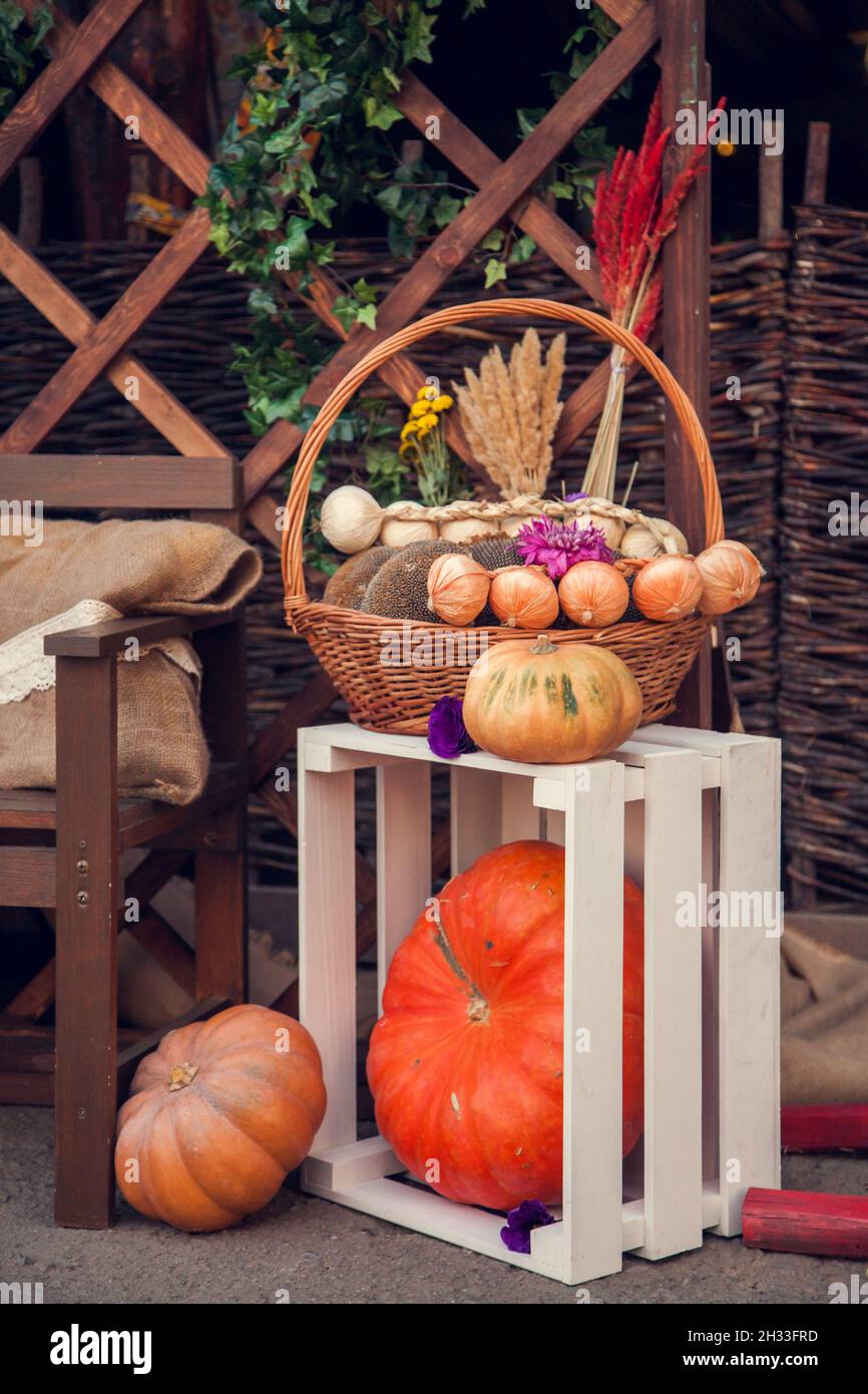 Outdoor Autumn still life in garden. Decor for an autumn photo shoot ...
