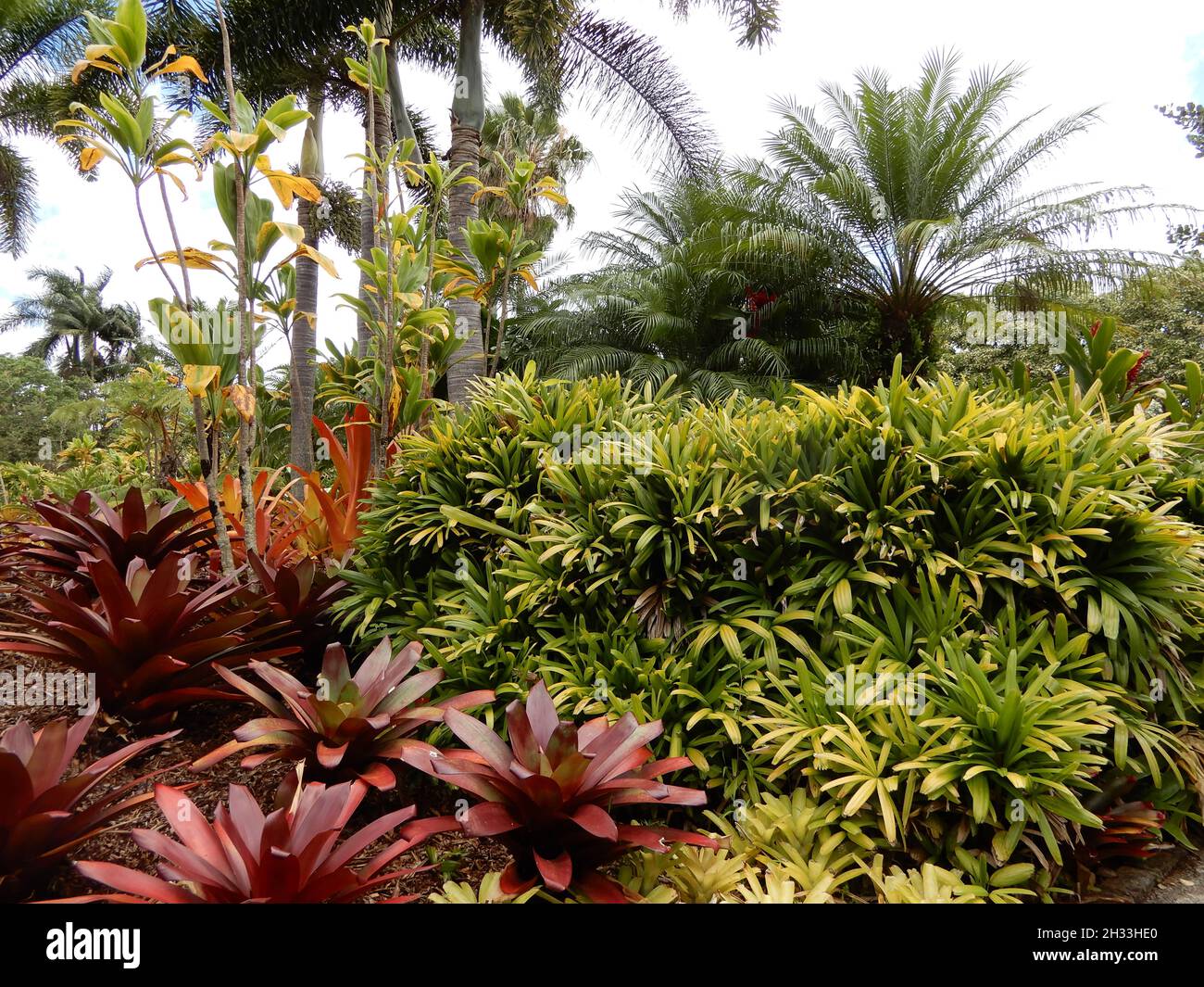 Oahu HI U.S.A. 6/3&6/2021. Dole Plantation. Gardens. Pineapple Express ...