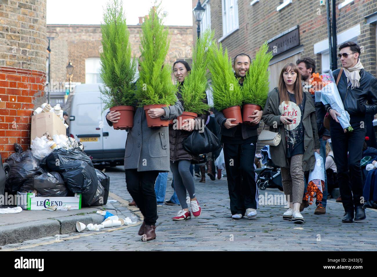 London, UK - 20 November 2019, A group of friends bought potted thuja ...