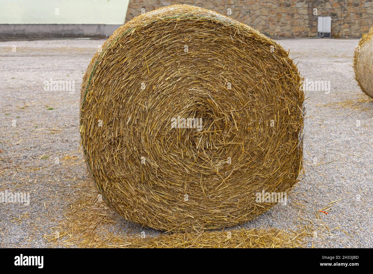 One Big Roll Hay Bale Hay Silage at Farm Stock Photo - Alamy