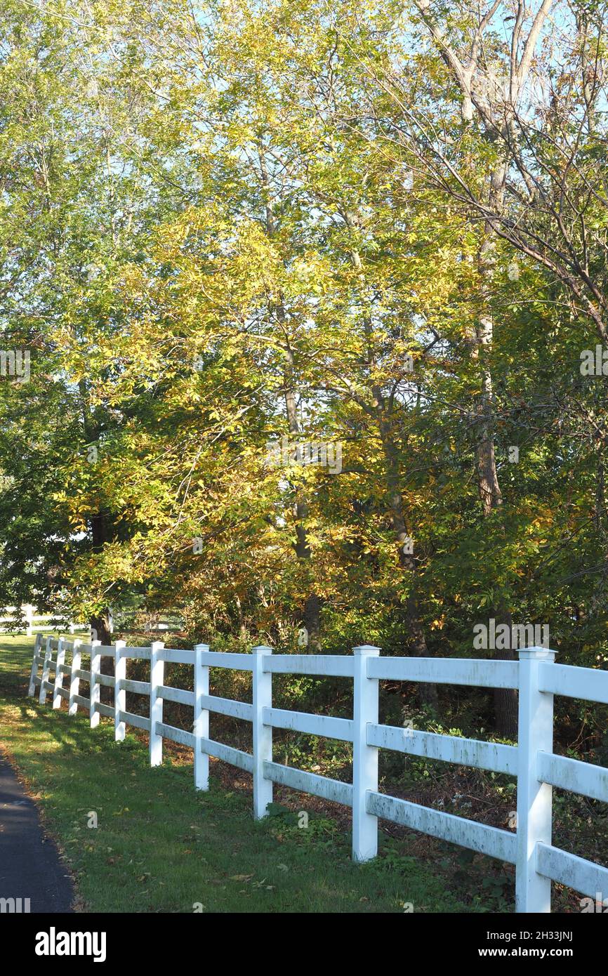 Parallel trail hi-res stock photography and images - Alamy