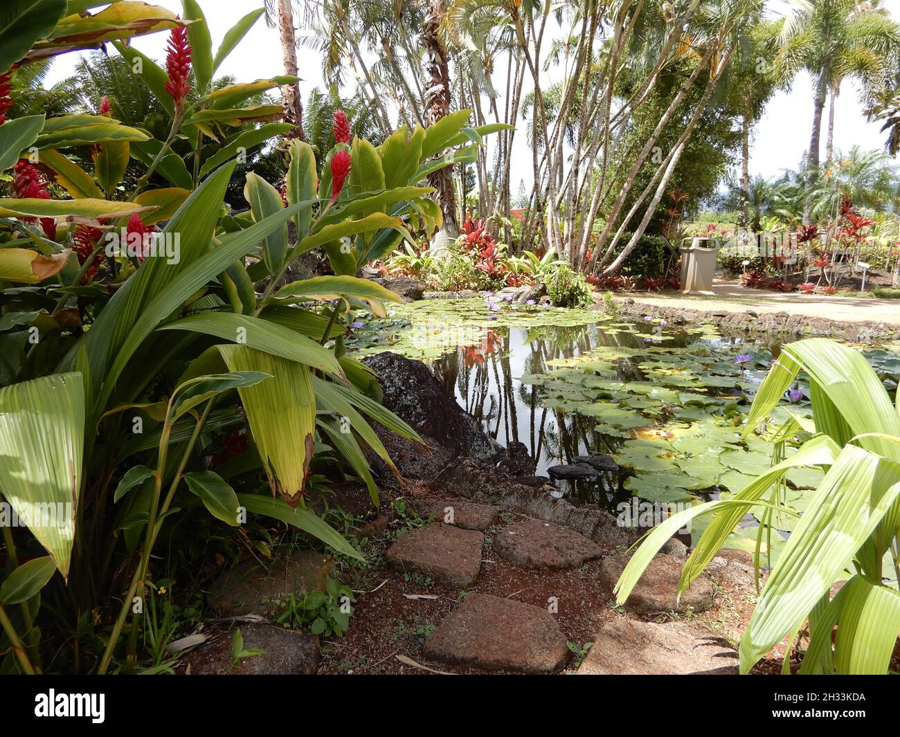 Oahu HI U.S.A. 6/3&6/2021. Dole Plantation. Gardens. Pineapple Express ...
