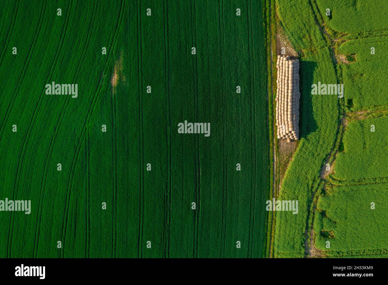 field from the top view geometric layout Stock Photo - Alamy