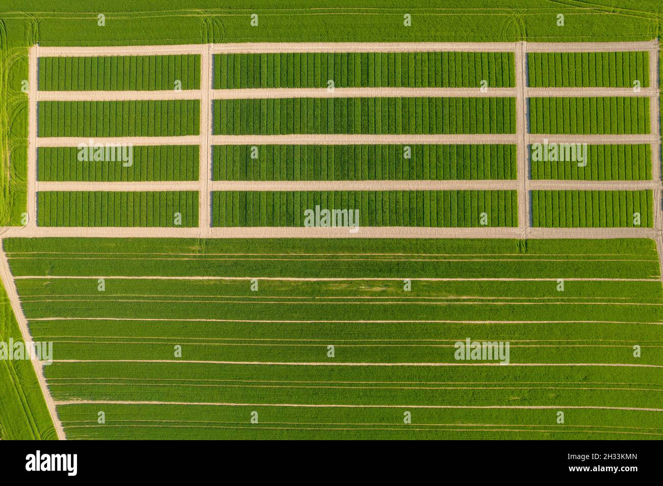field from the top view geometric layout Stock Photo - Alamy