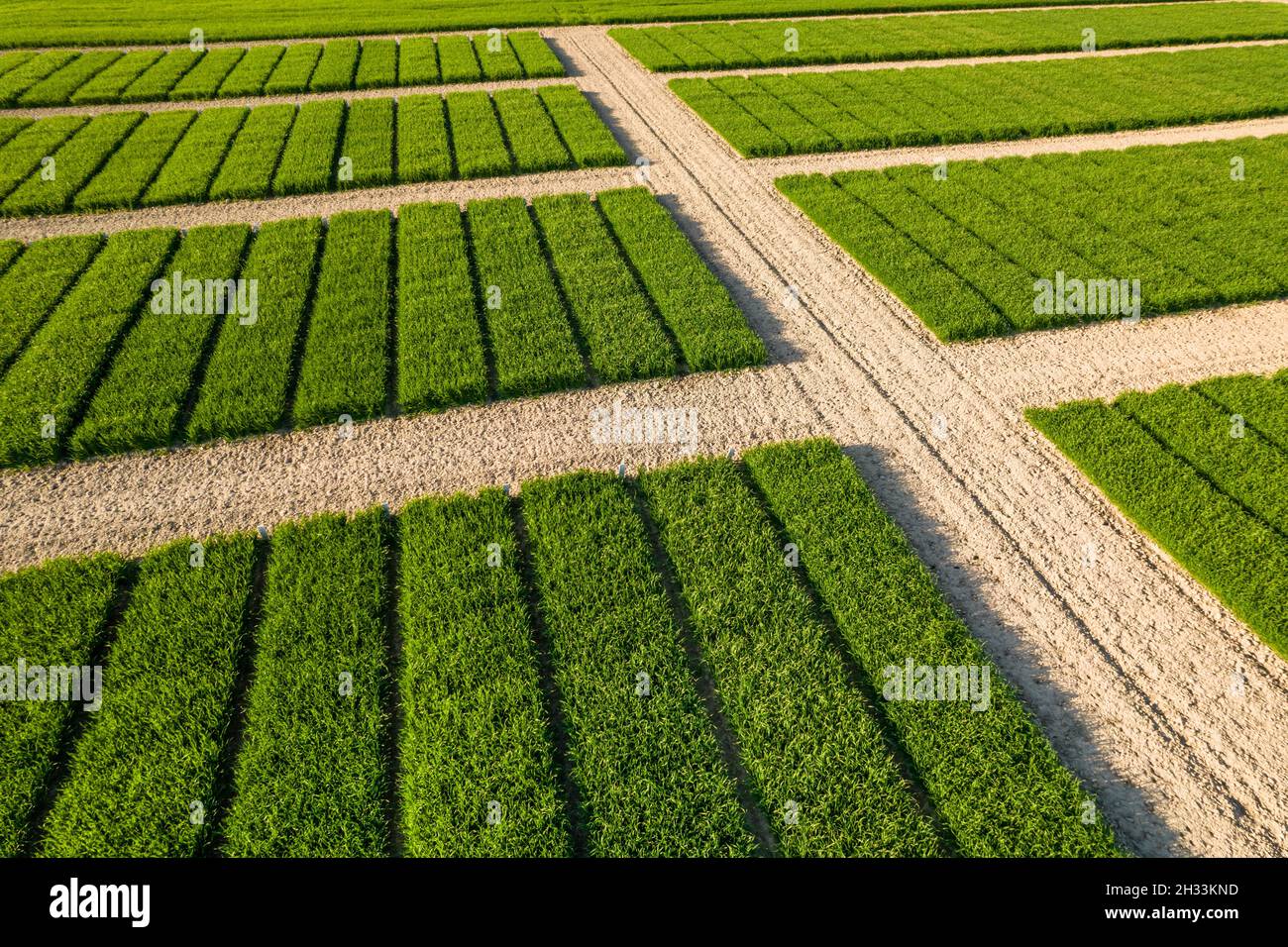 field from the top view geometric layout Stock Photo - Alamy