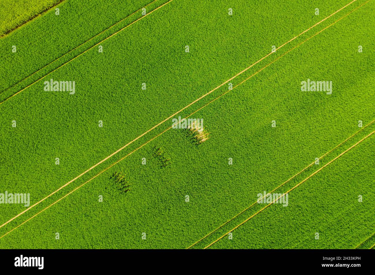 field from the top view geometric layout Stock Photo - Alamy