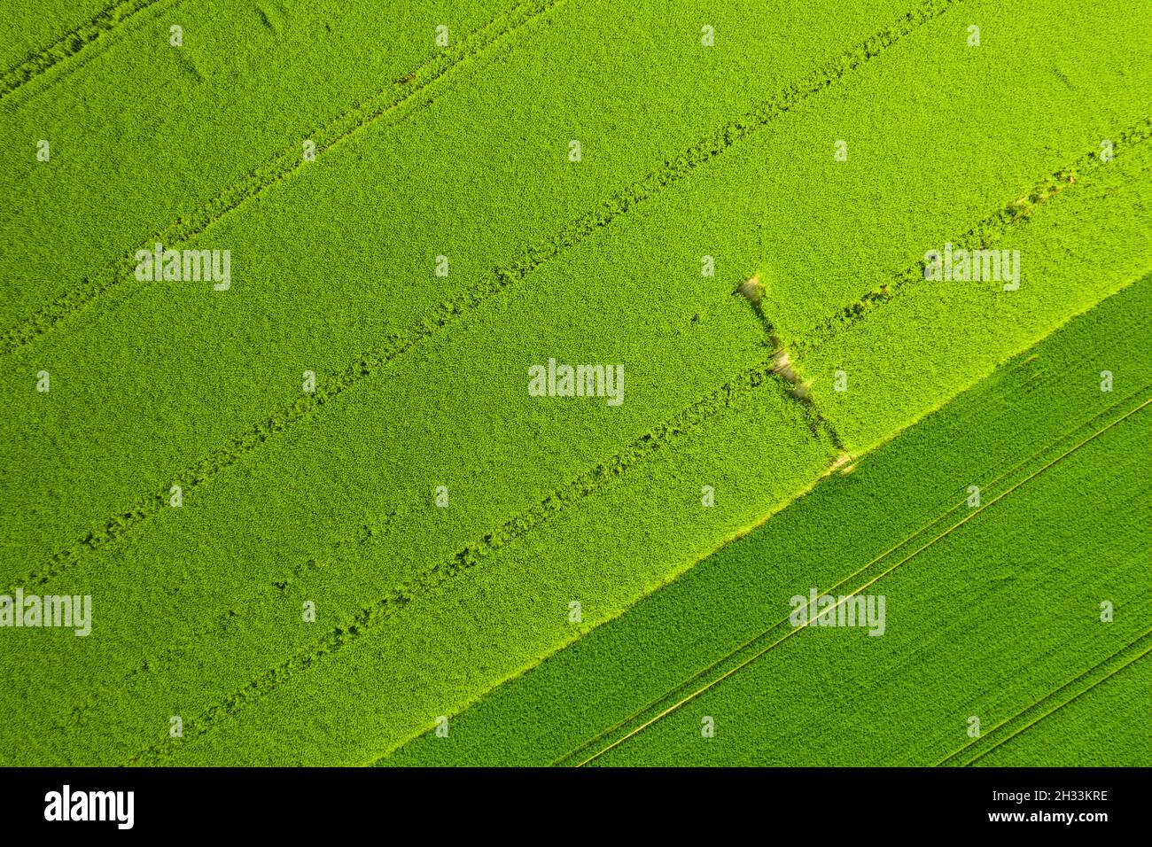 field from the top view geometric layout Stock Photo - Alamy