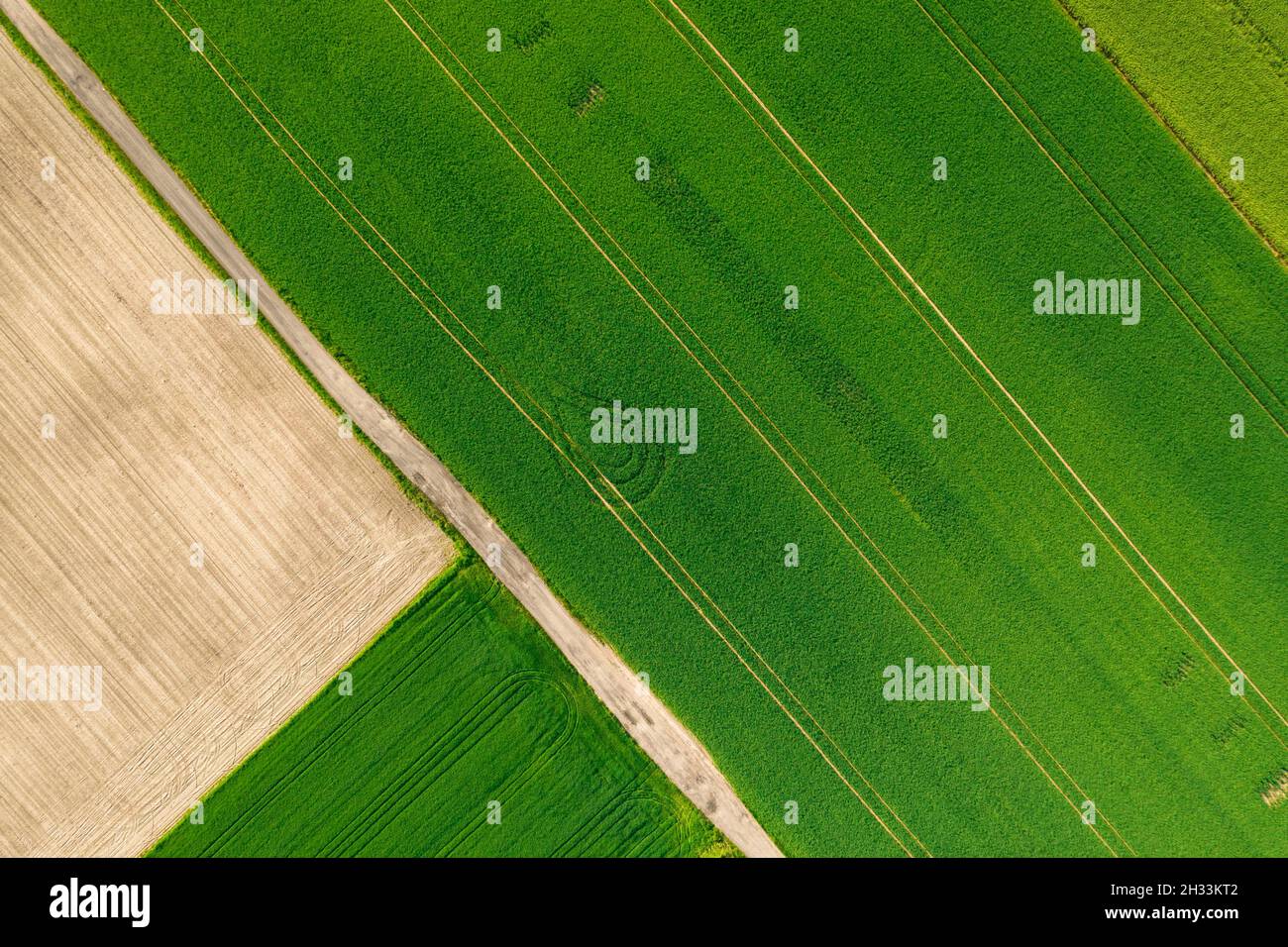 field from the top view geometric layout Stock Photo - Alamy