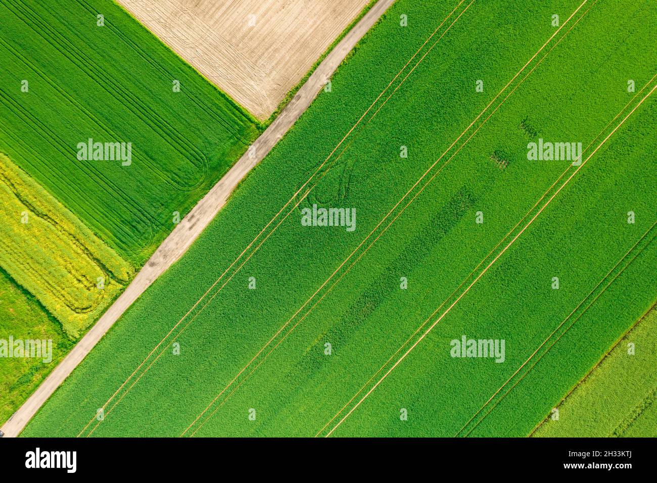field from the top view geometric layout Stock Photo - Alamy