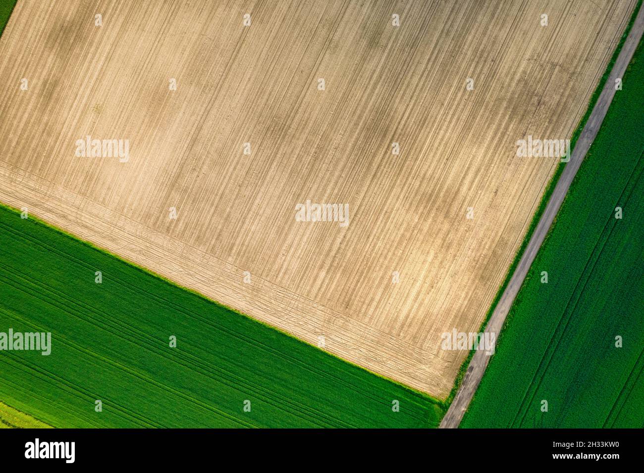 field from the top view geometric layout Stock Photo - Alamy