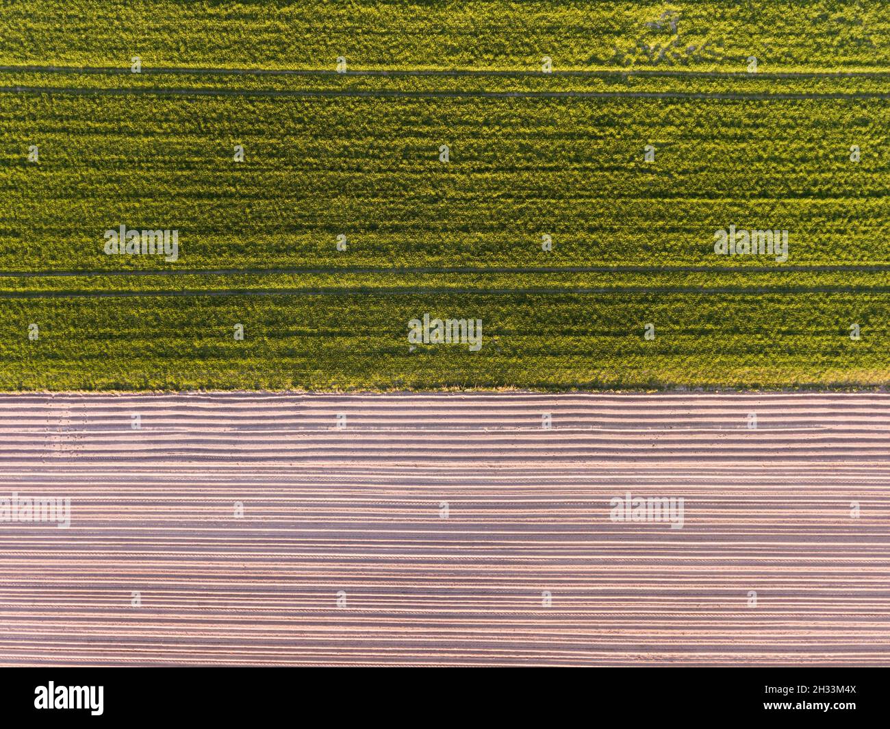 field from the top view Stock Photo - Alamy