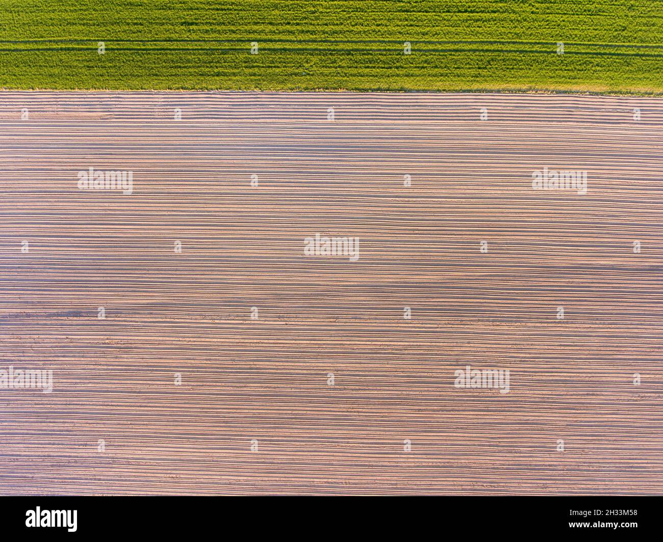 field from the top view Stock Photo - Alamy