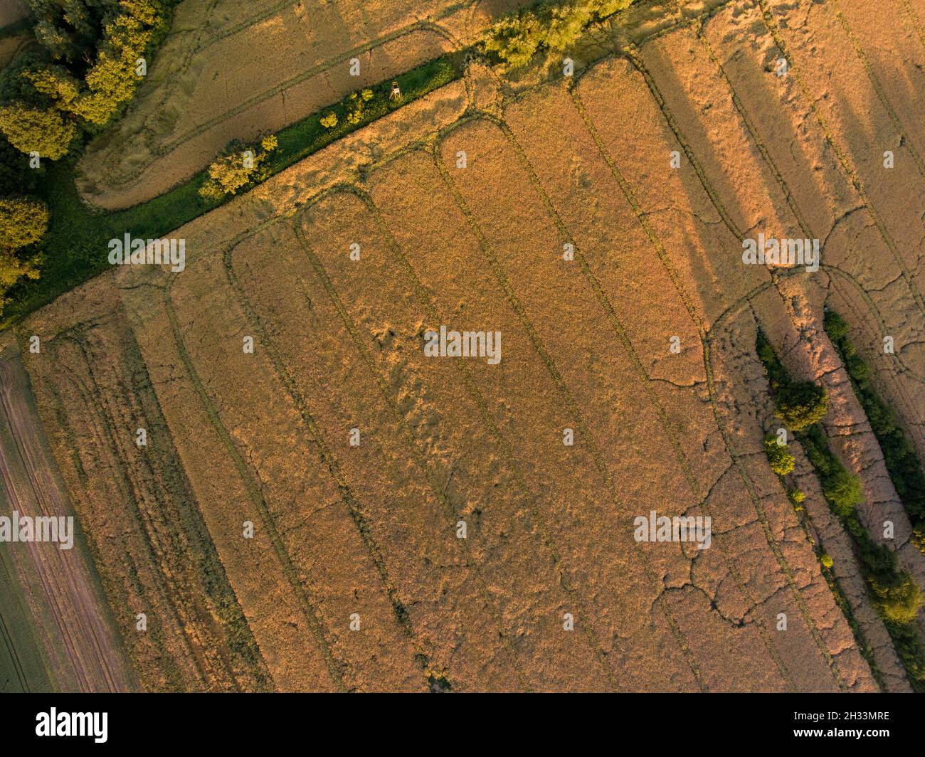 field from above aerial top view Stock Photo - Alamy