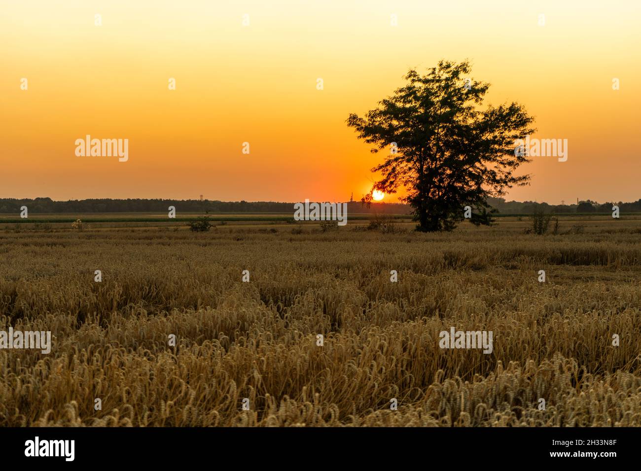 The last field hi-res stock photography and images - Alamy