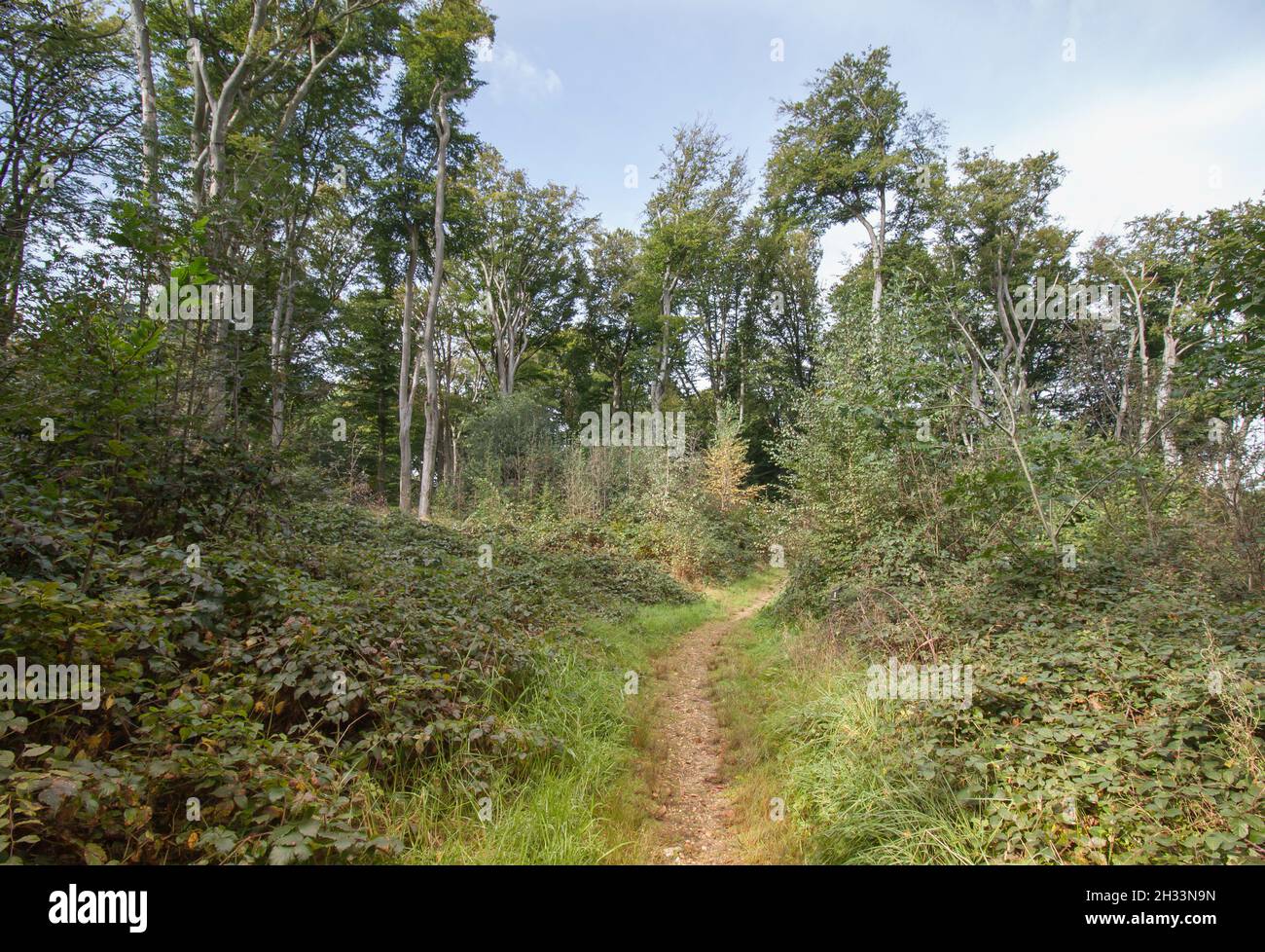 Beautiful view of a landscape with a pathway Stock Photo - Alamy
