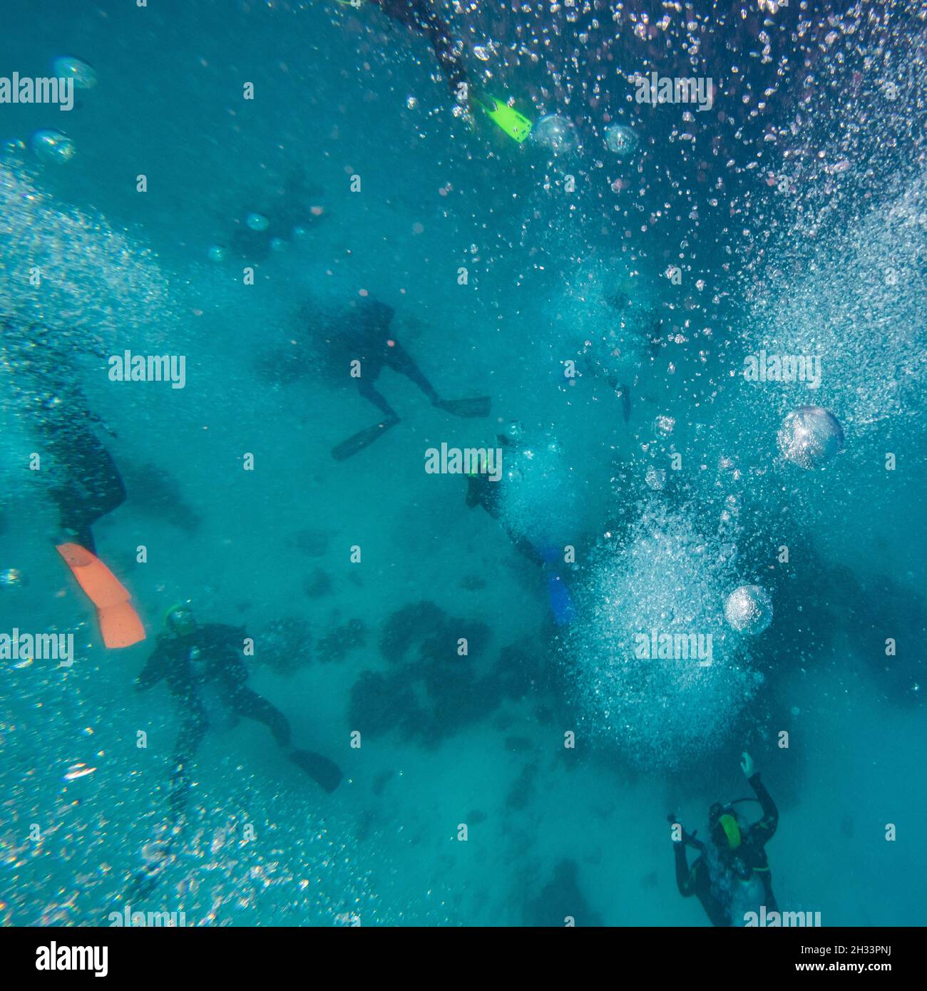 Scuba divers underwater, Turtle Bommie Dive Site, Great Barrier Reef ...