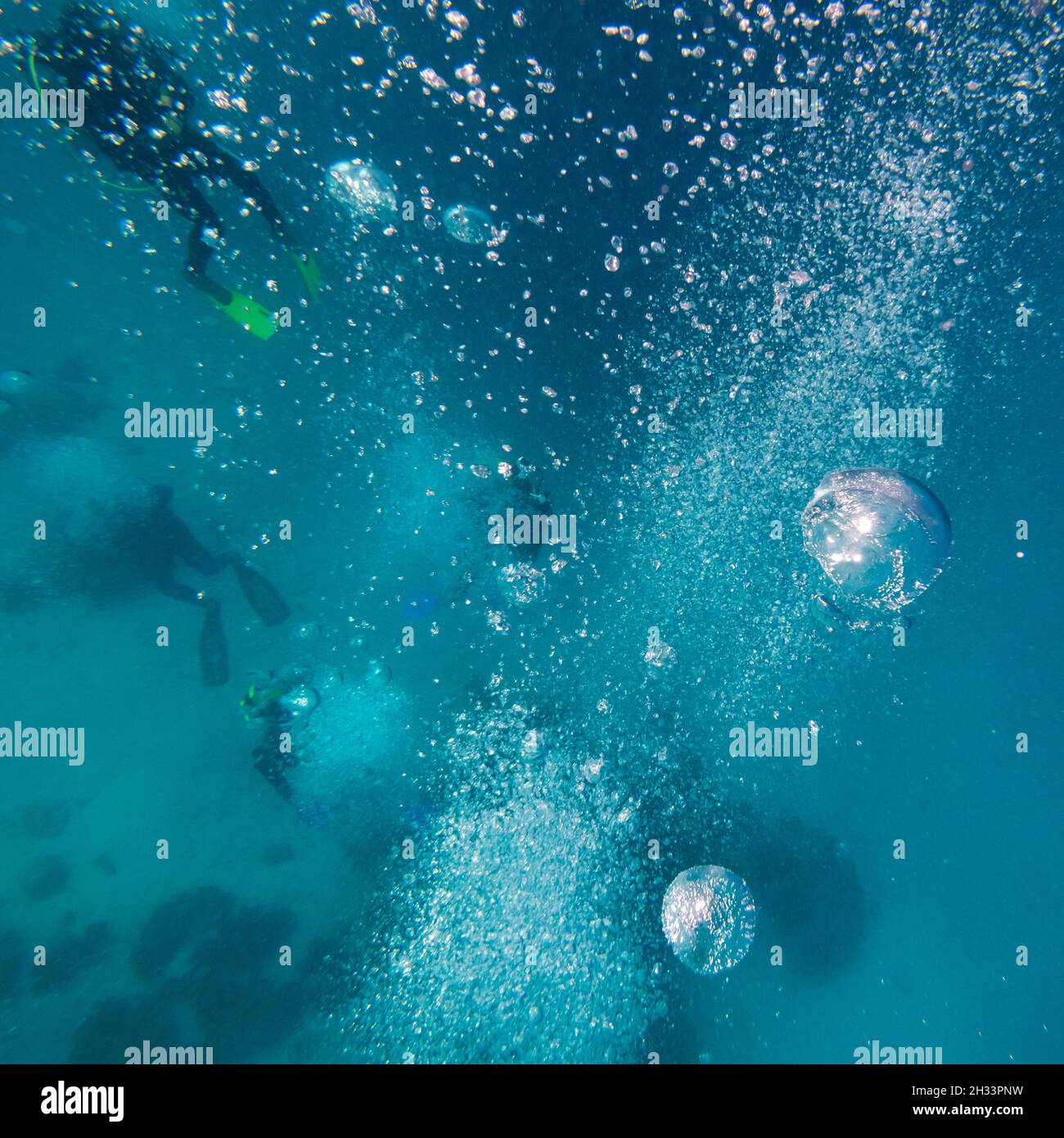 Scuba divers underwater, Turtle Bommie Dive Site, Great Barrier Reef ...