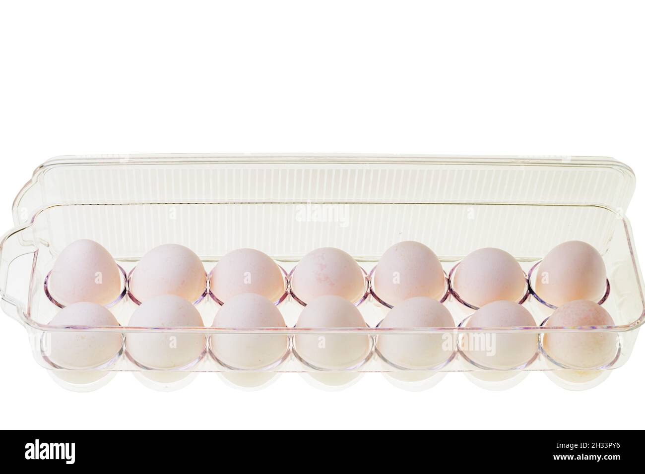 Close up view of white eggs in plastic storage container isolated on ...