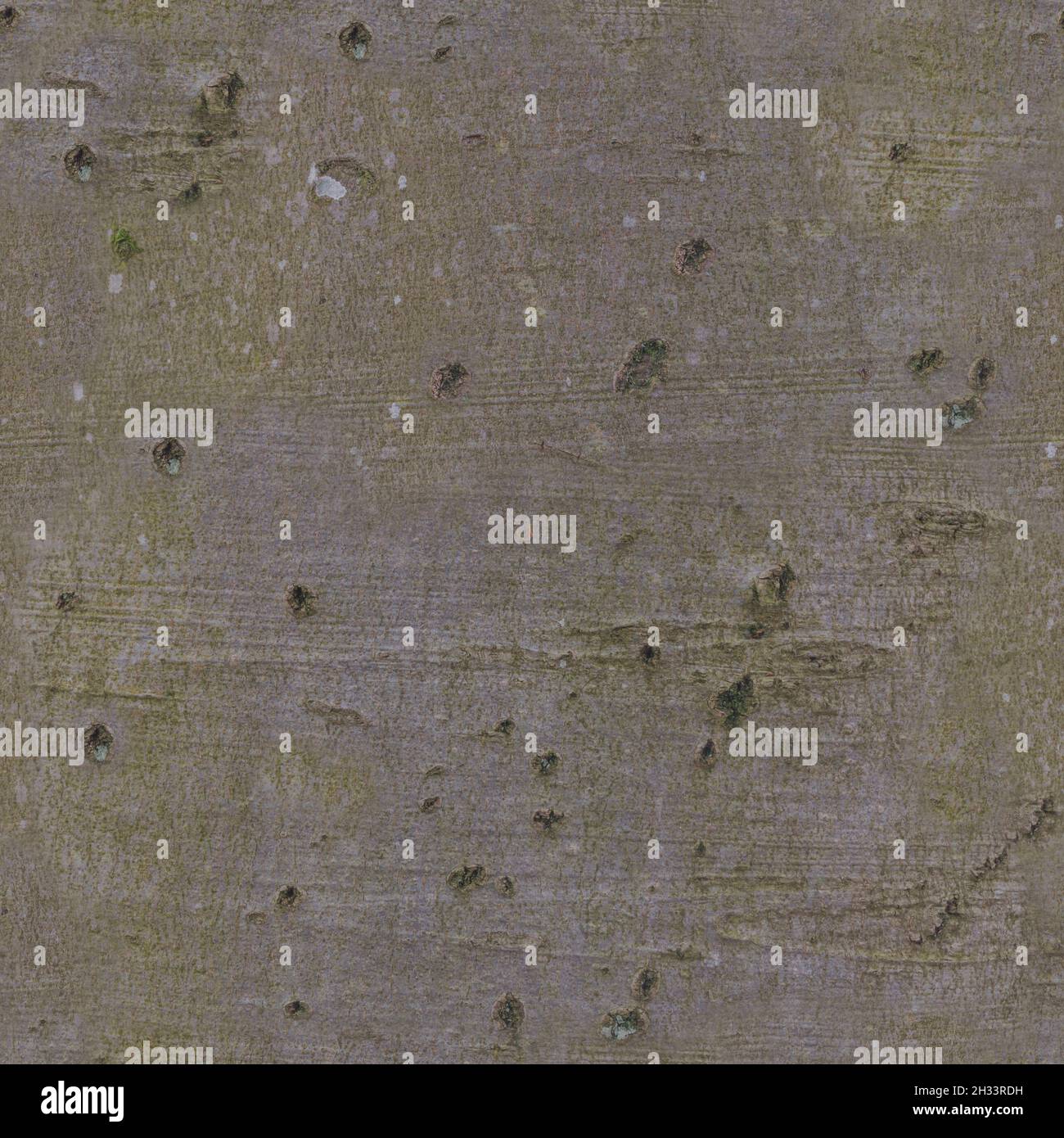 Bark texture and background. High resolution Stock Photo - Alamy