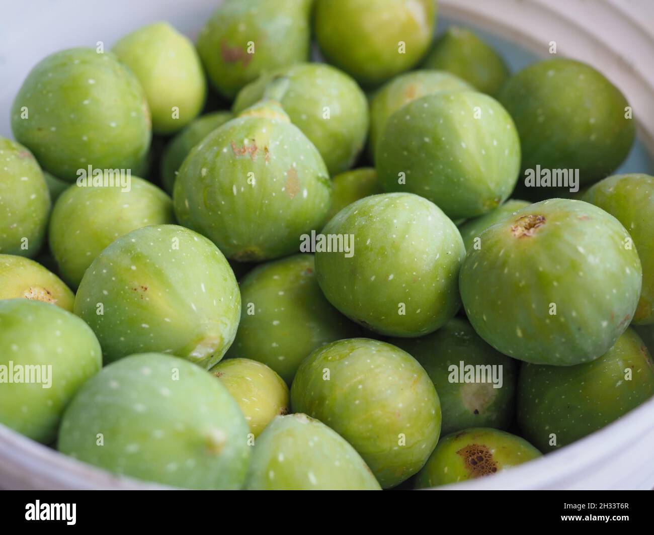 common fig (scientific name Ficus carica) vegetarian fruit food Stock ...