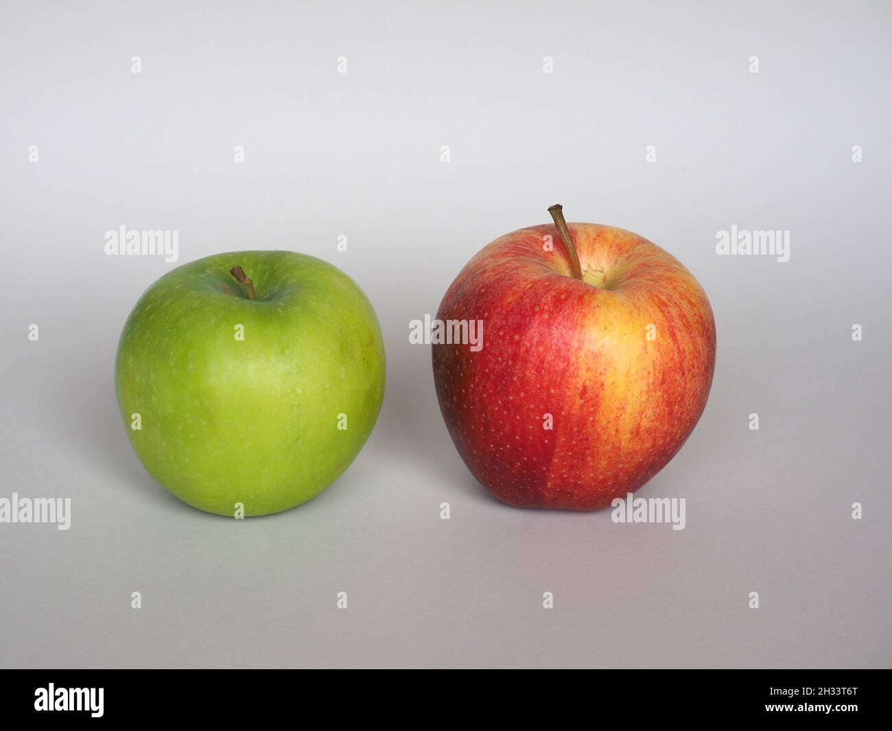 green and red apple (scientific name Malus domestica) vegetarian fruit ...