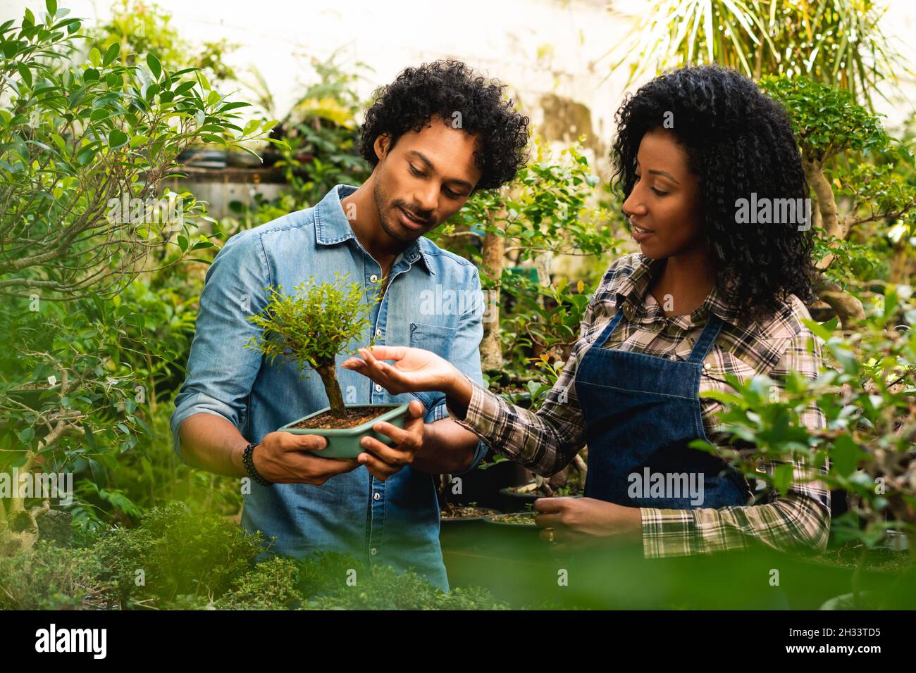 African American Botanist High Resolution Stock Photography and Images ...