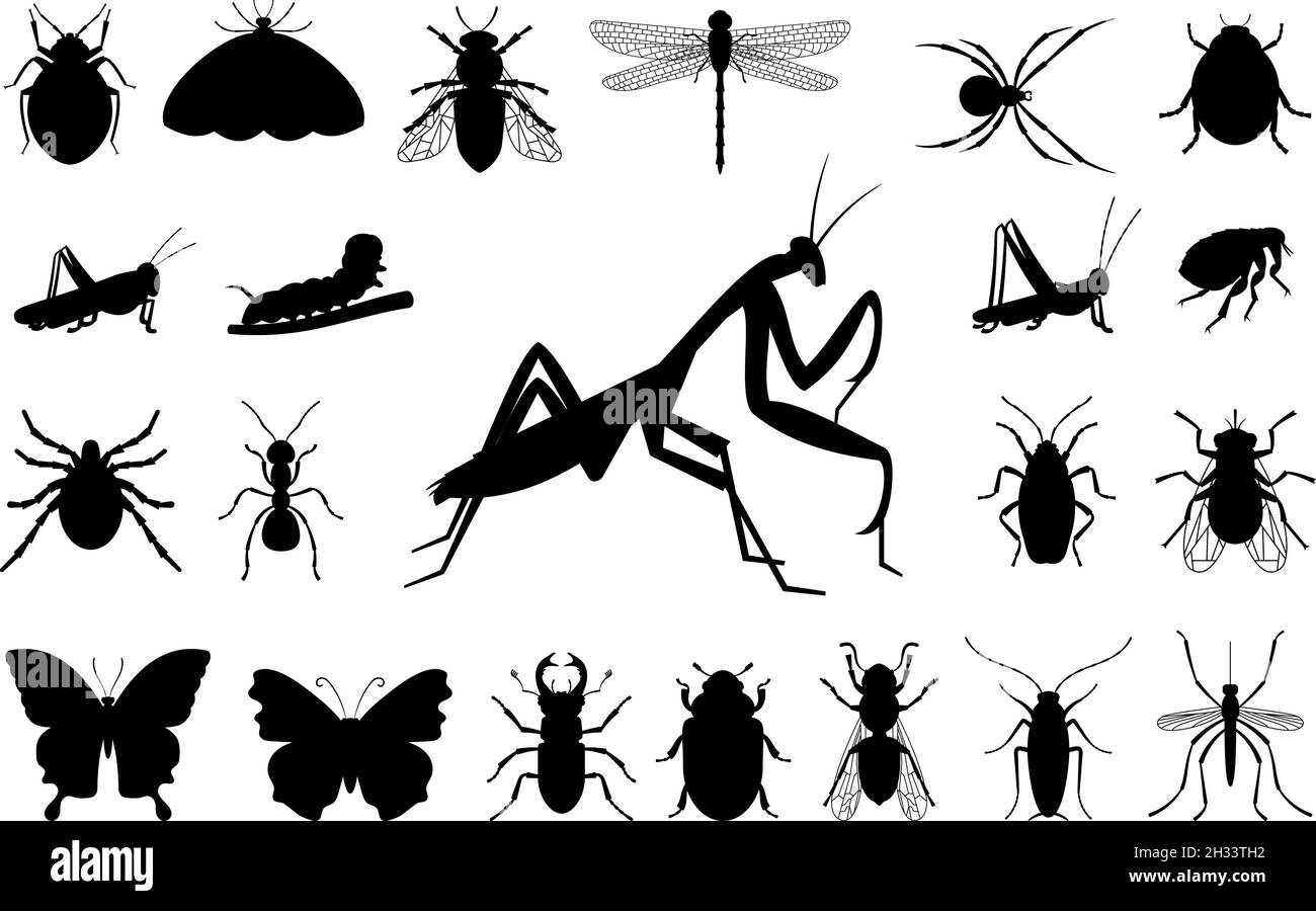 Big collection of black vector silhouettes of different insects Stock ...