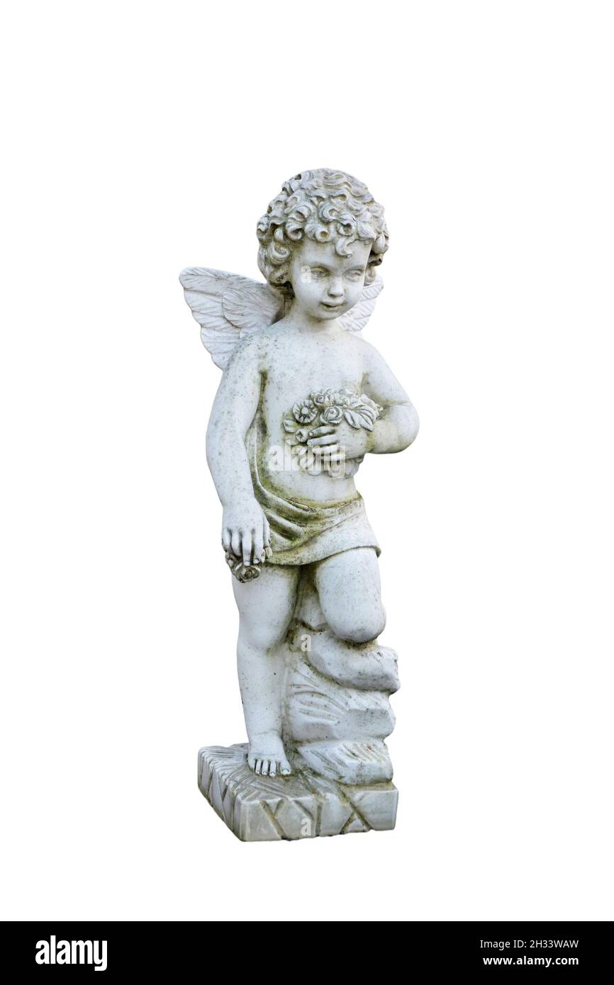 Angel isolated on white background Stock Photo - Alamy