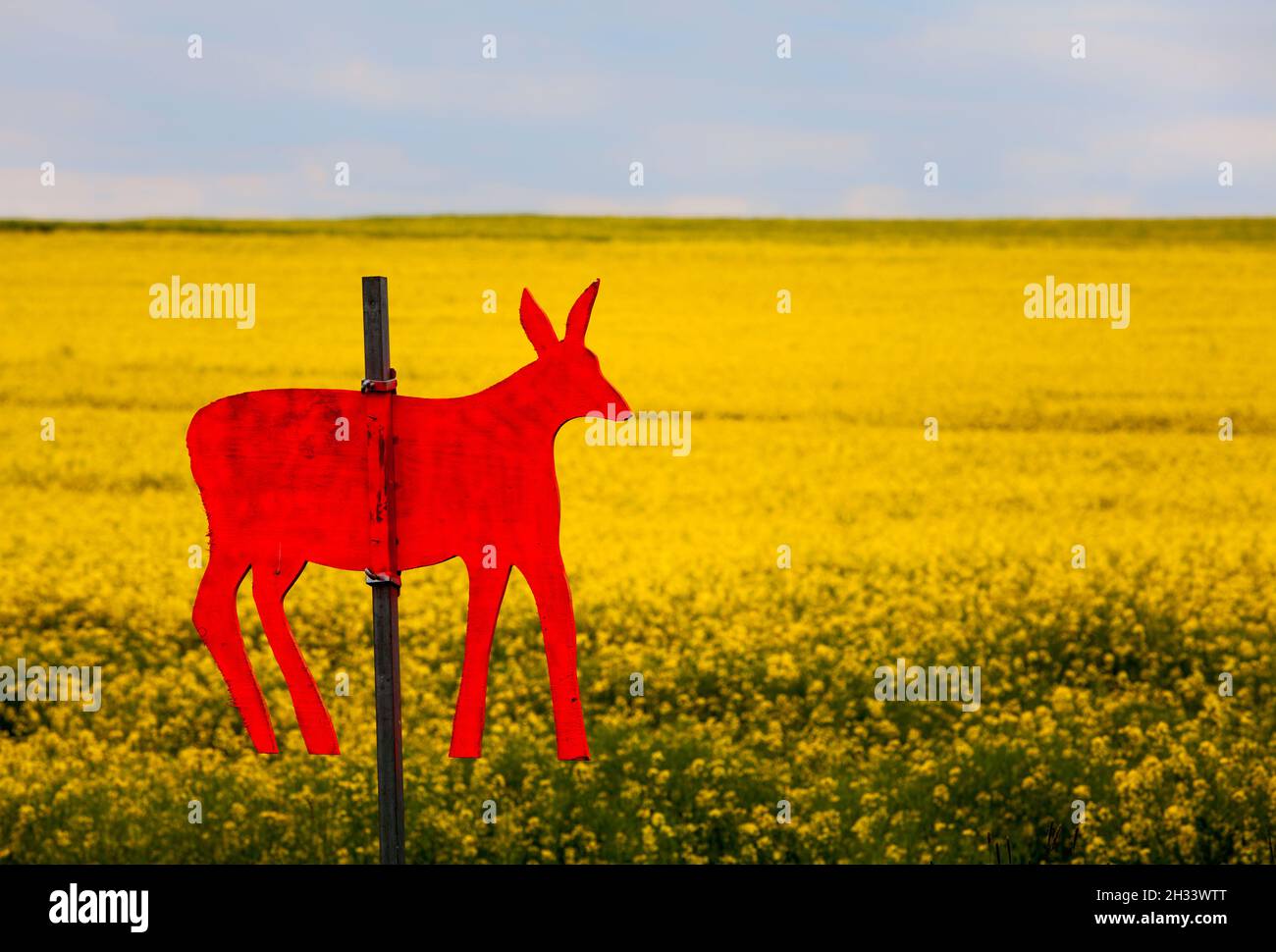 Attention deer crossing road sign, Germany, Europe Stock Photo - Alamy