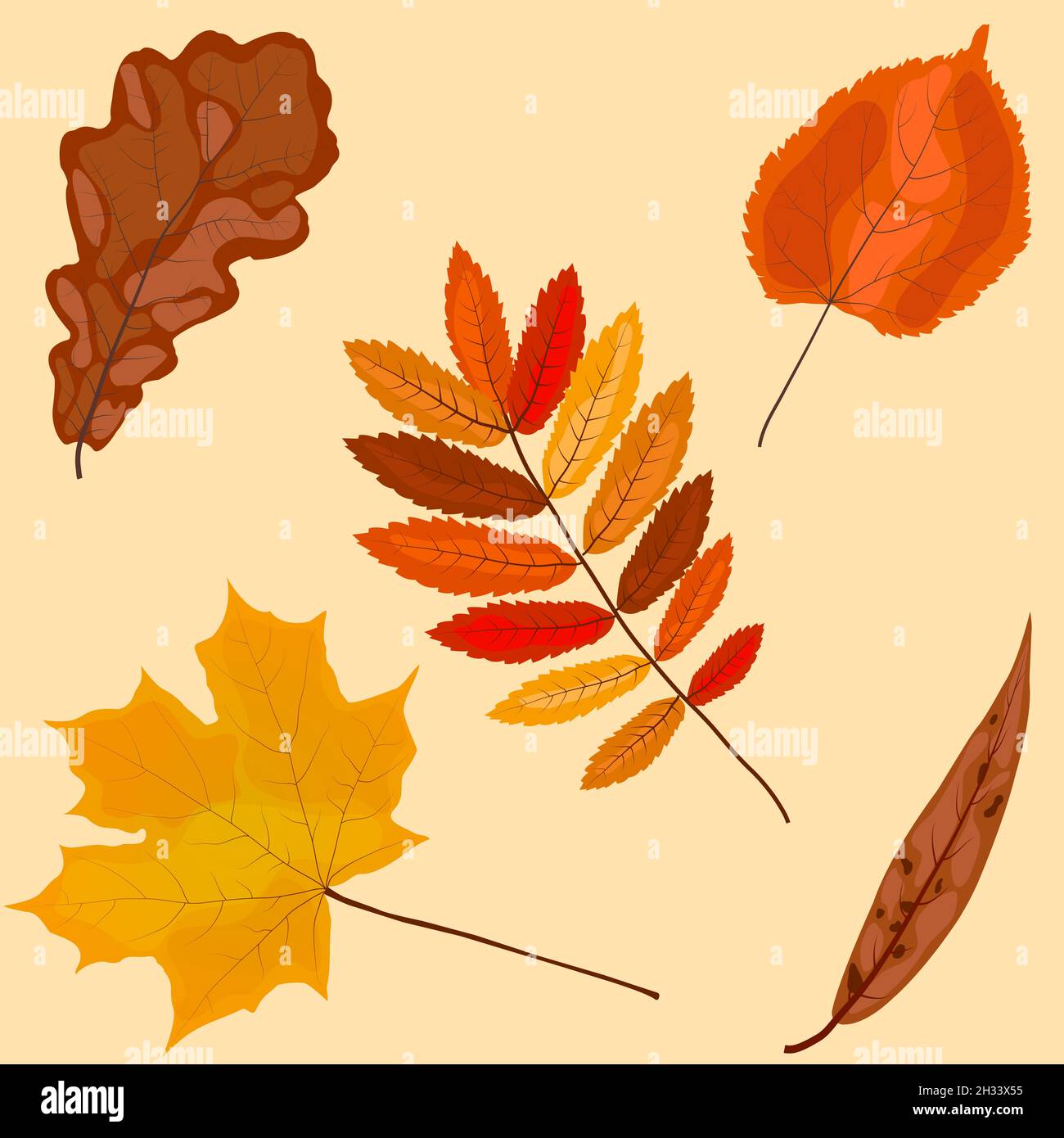 Autumn leaves set of bright colors isolated Stock Vector Image & Art ...