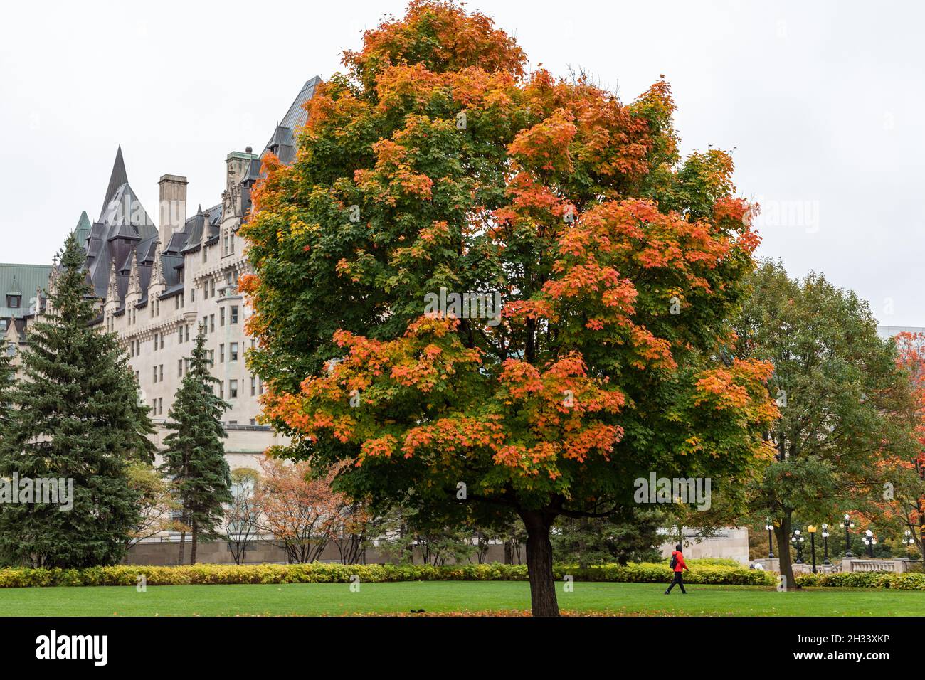 Ottawa, Canada - October 14, 2021: Trees changing colors in Major's ...