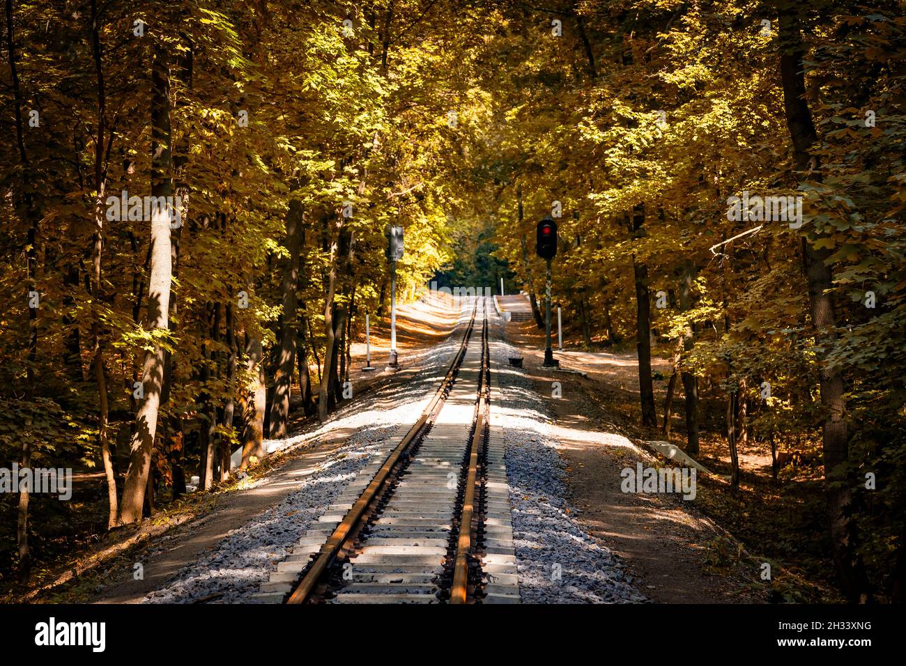 Railroad single track through the woods in autumn. Sunlight. Fall ...