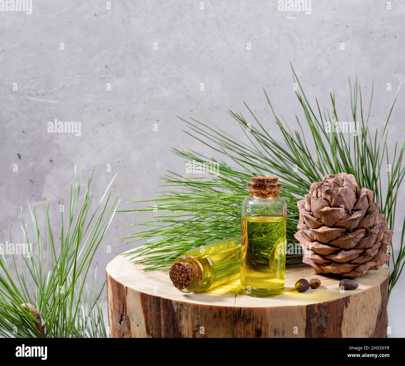 Cedar Wood Herb High Resolution Stock Photography and Images - Alamy