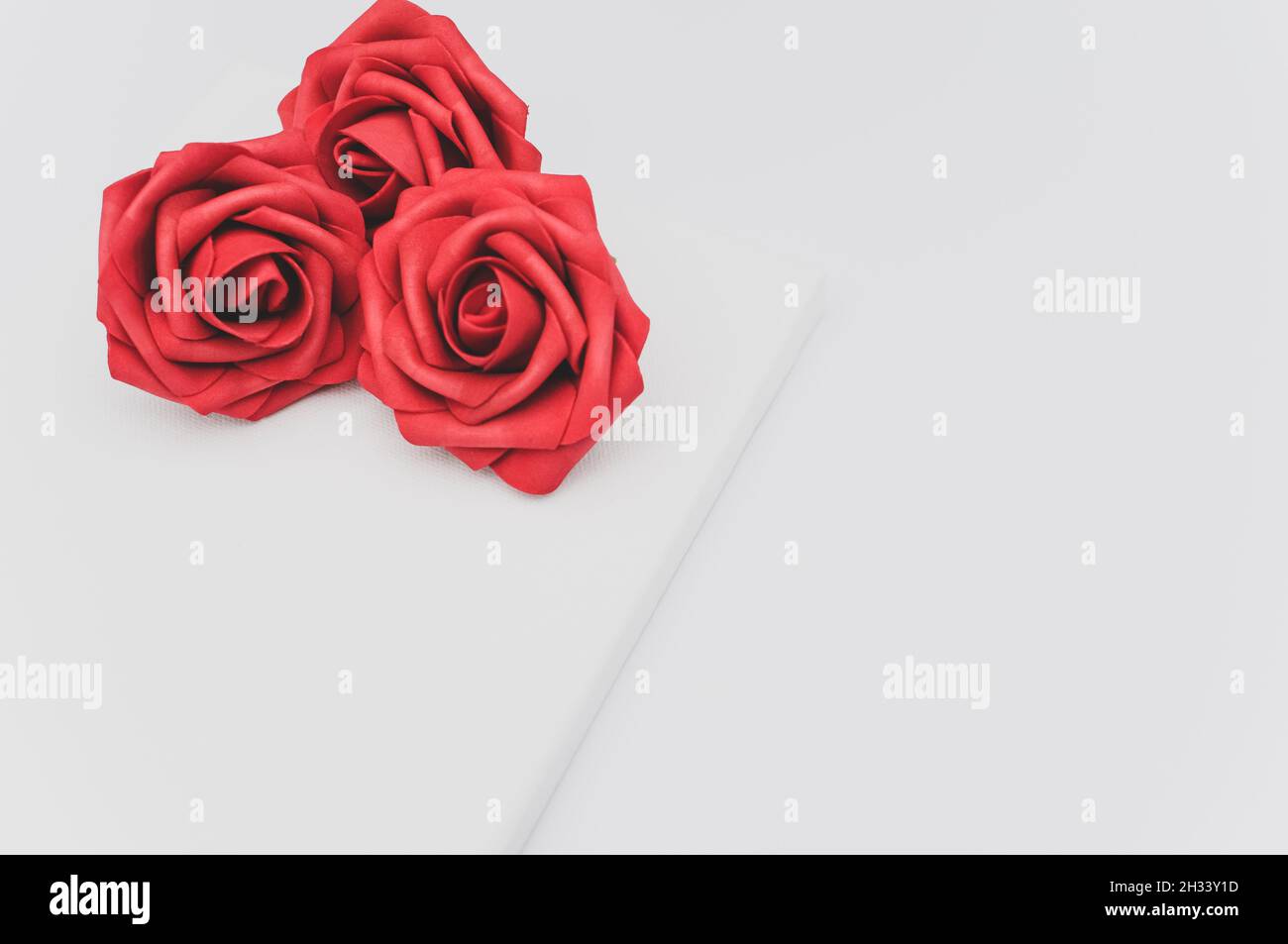 white painting canvas with red rose head top view on white background ...